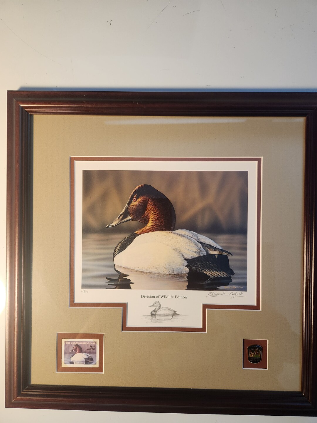 Ohio Wetlands Duck Stamp Print - Etsy