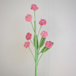 Crochet Flower Pattern Bundle - Etsy