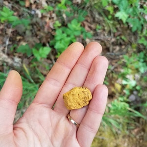 Pigment Foraging and Processing Tutorial, DIY Forage, Collect Natural ...