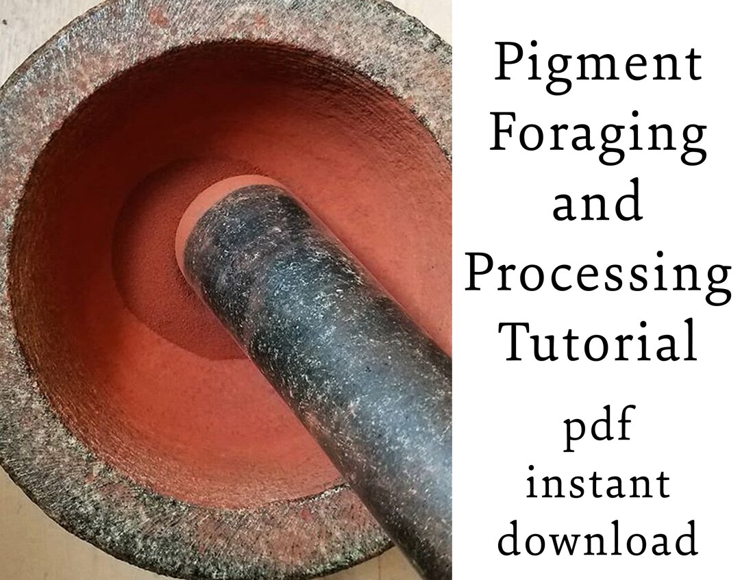 Pigment Foraging and Processing Tutorial, DIY Forage, Collect Natural ...