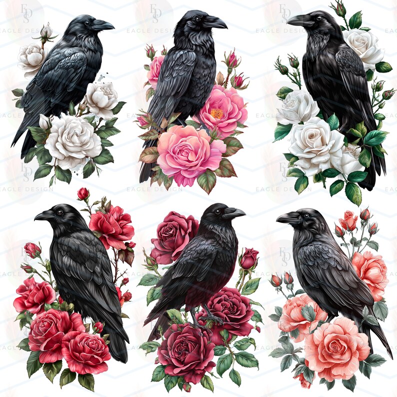 Gothic Raven & Roses Clipart: Dark Romantic PNG Illustrations (digital ...