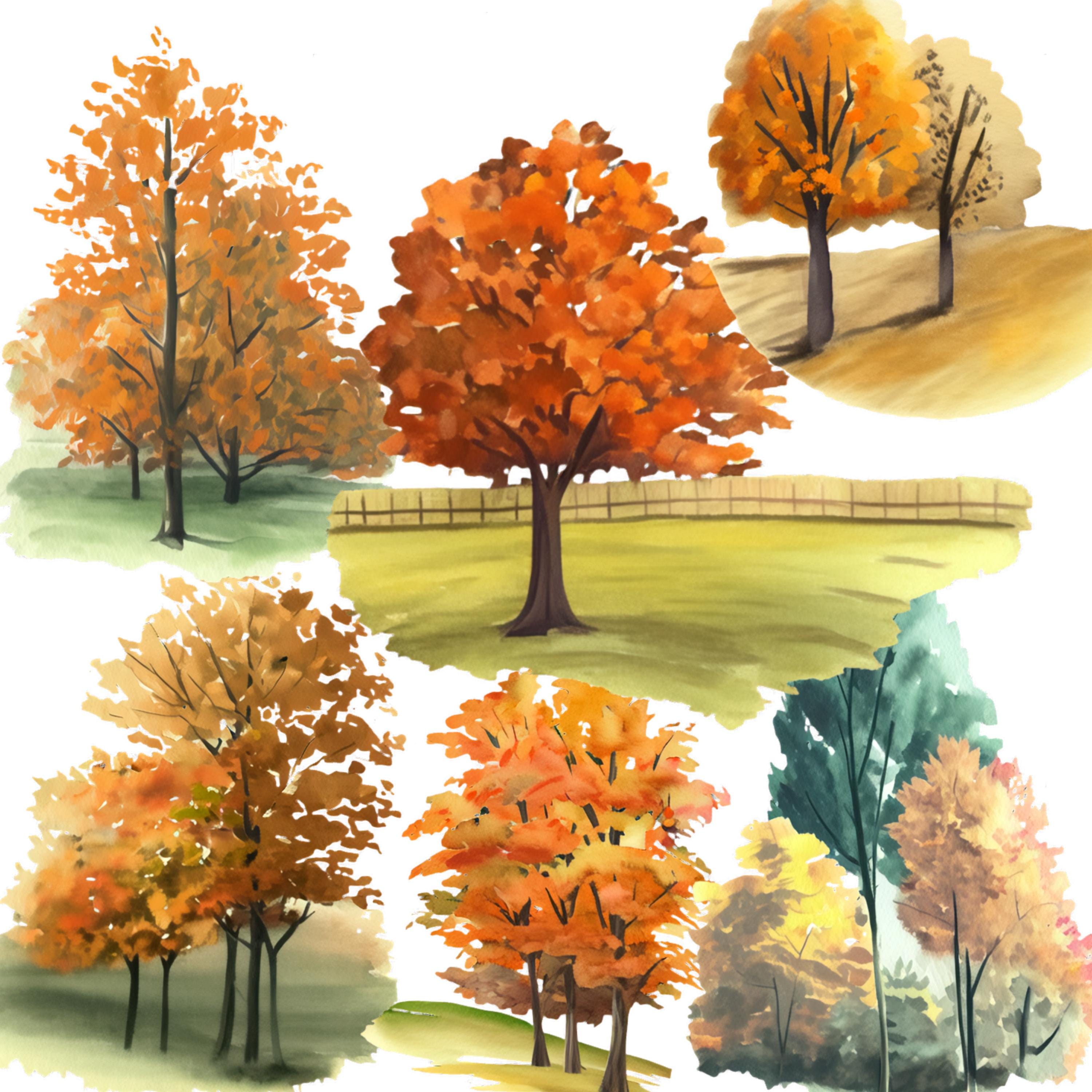 30 PNG AUTUMN FOREST Fall Trees Clip Arts 300 Dpi, Commercial Use ...