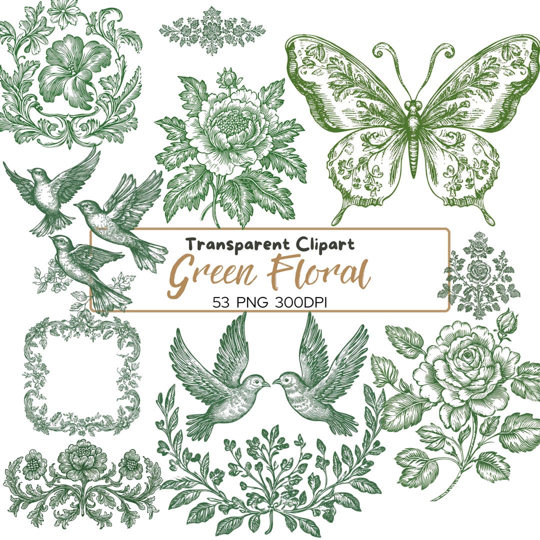 53 PNG Vintage Floral Art, Vintage Botanical, Flower Line Art, Vintage ...