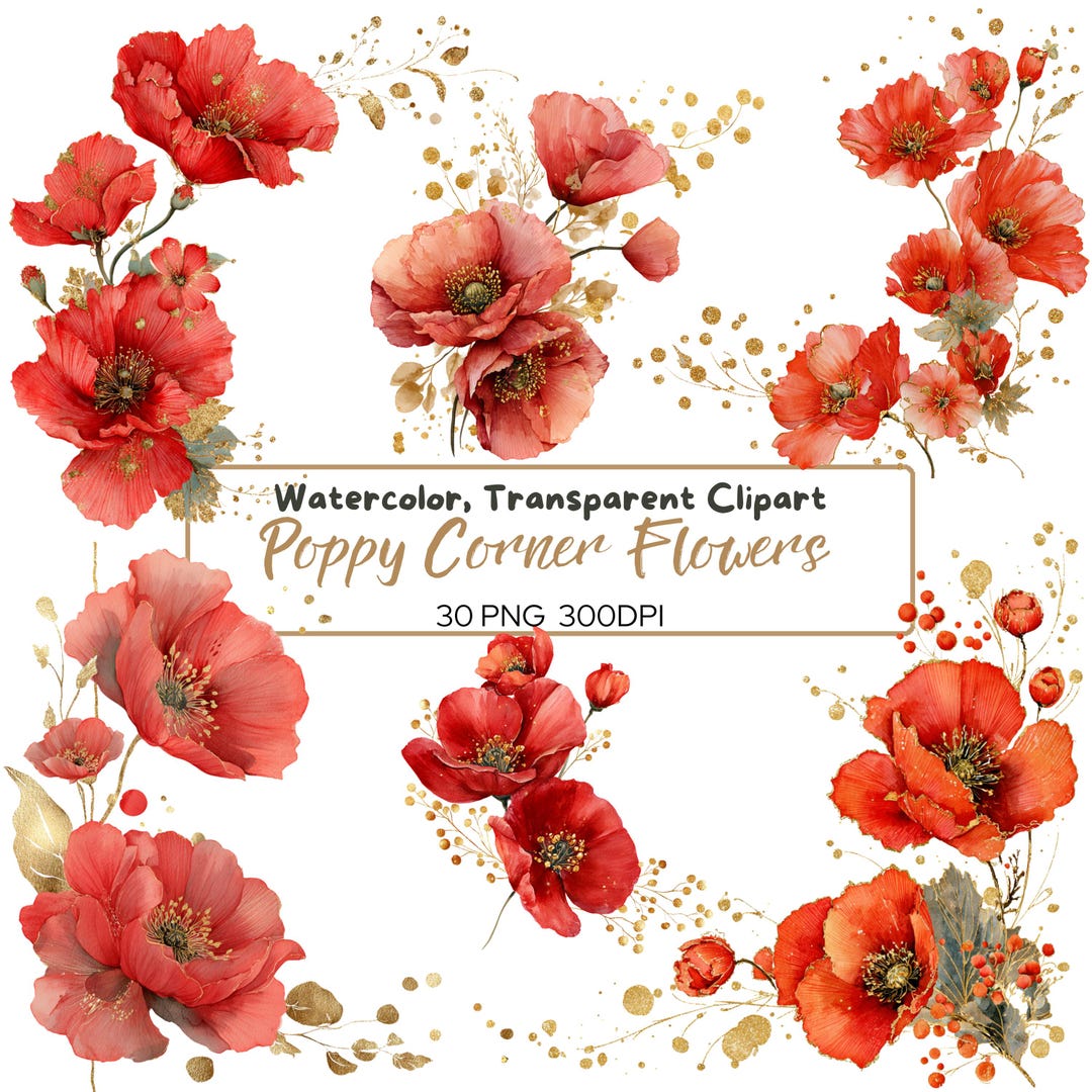 Watercolor Poppy Clipart: Red & Gold Floral Corners (30 PNG Digital ...