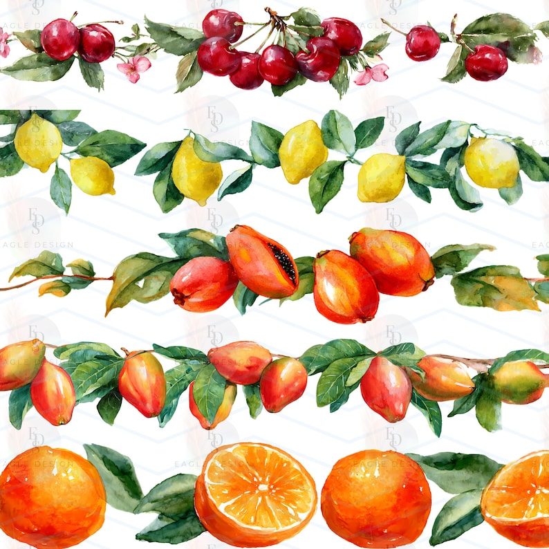 20 Watercolor FRUIT Border Clipart PNG | Lemon, Orange, Citrus Border ...