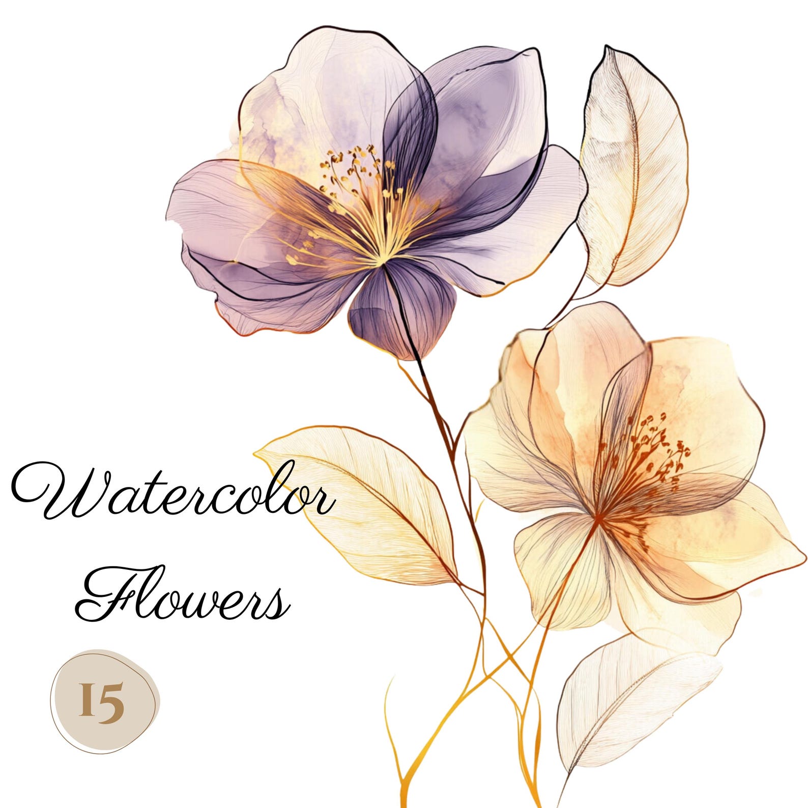 15 PNG TRANSPARENT Flower Clip Arts, Golden Outline (300 Dpi ...