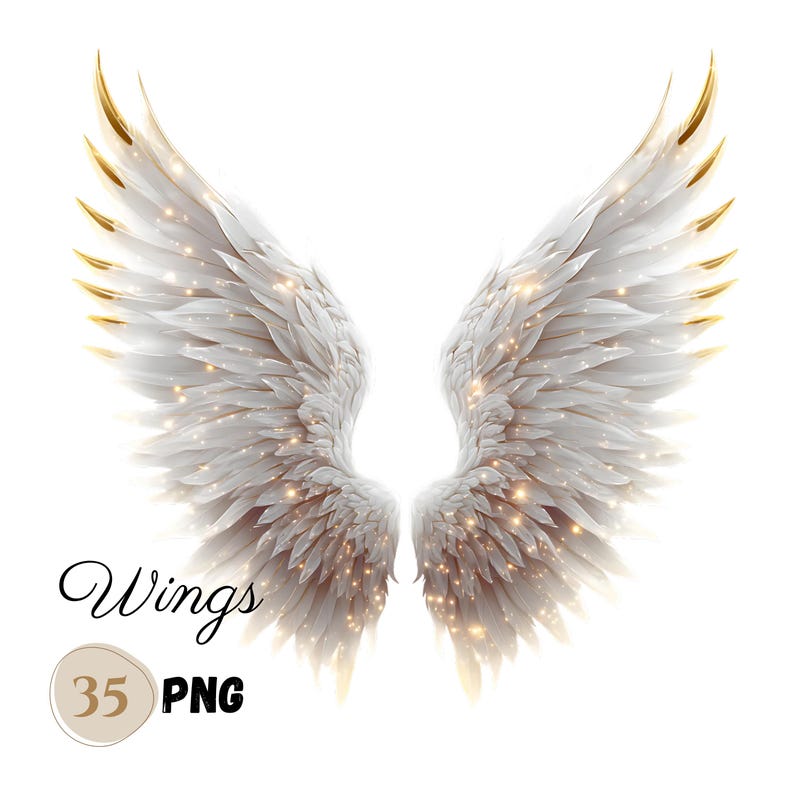 White Angels Wing Png - Etsy