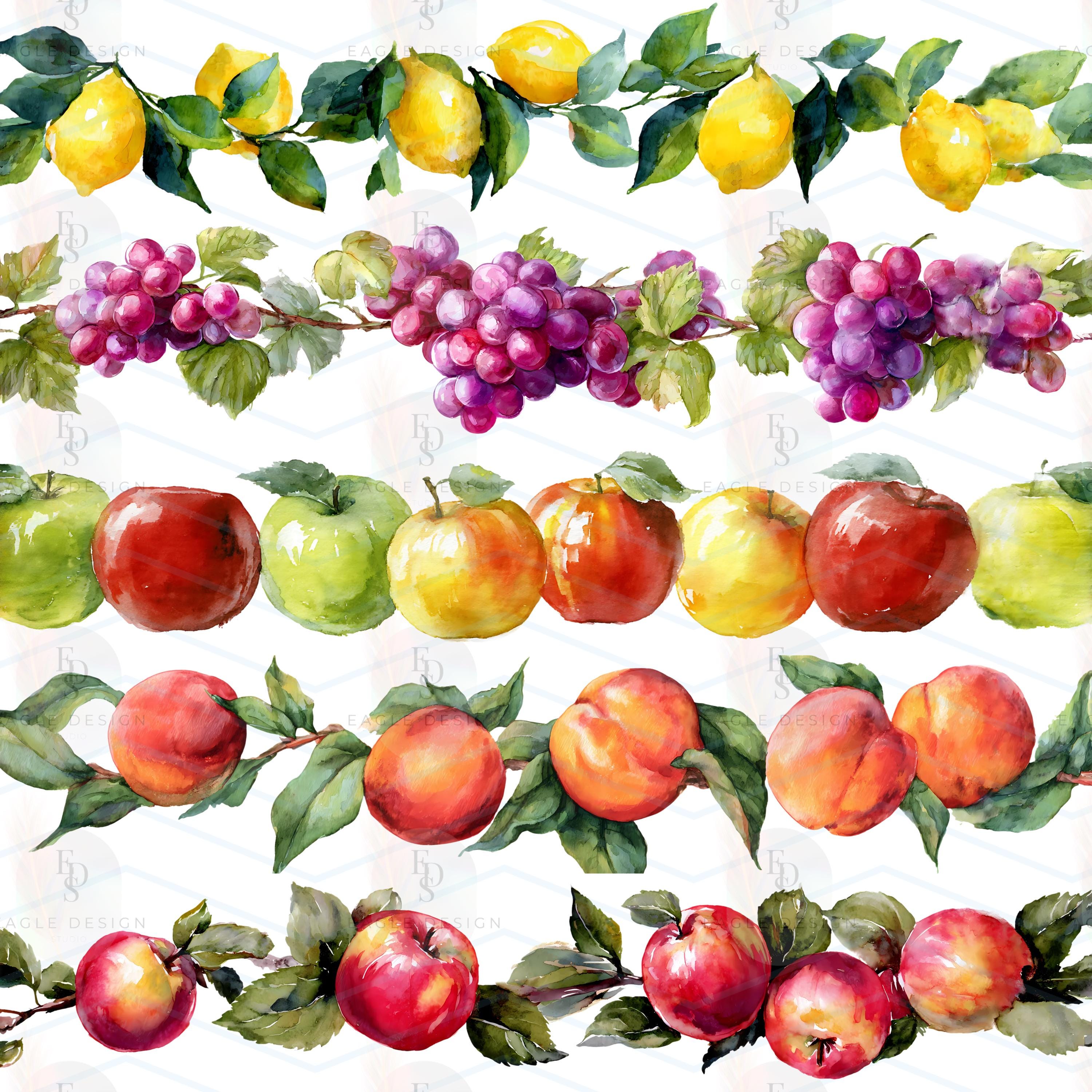 20 Watercolor FRUIT Border Clipart PNG | Lemon, Orange, Citrus Border ...