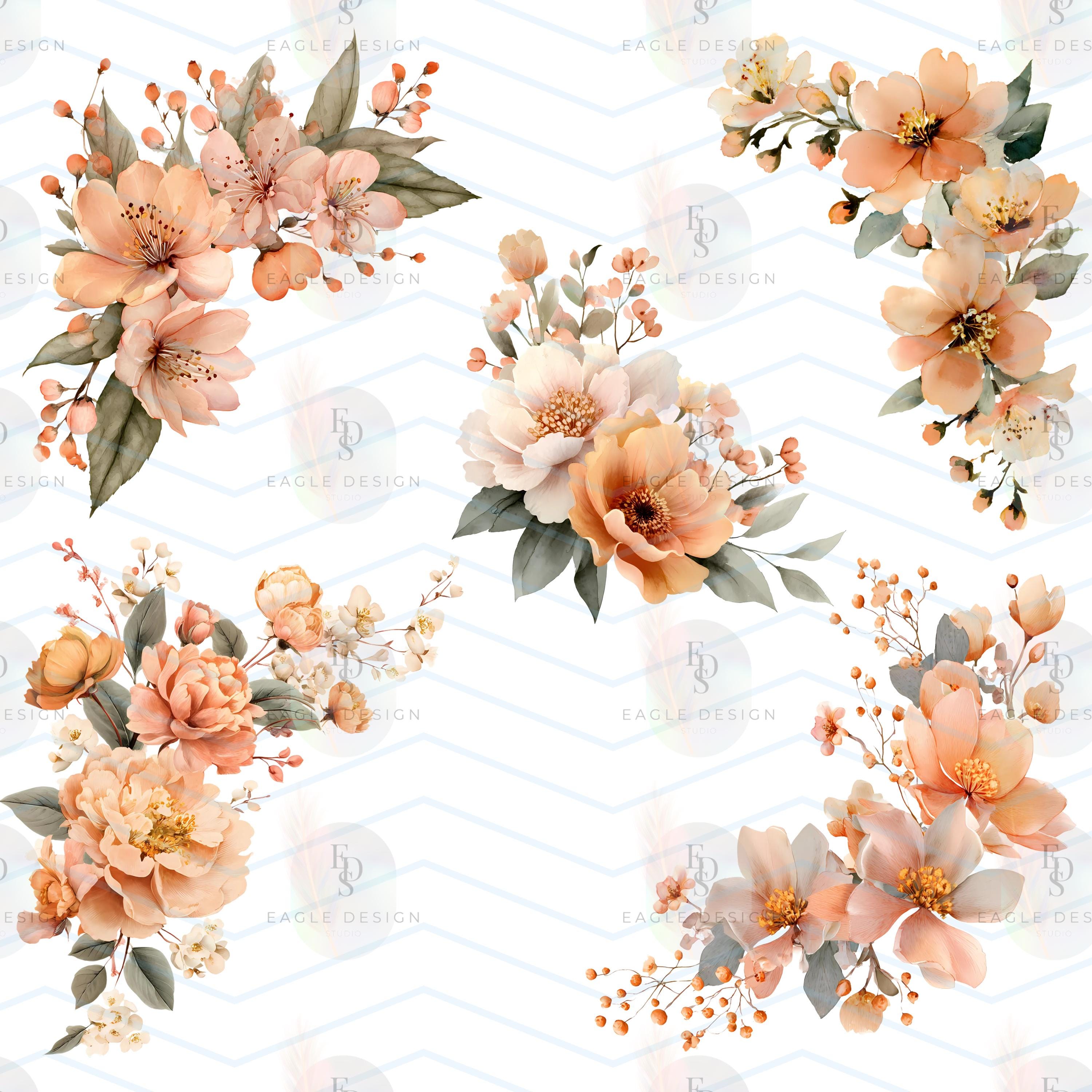 30 PNG PEACH Color Watercolor Corner Border FLOWERS Clip Arts, Peach ...