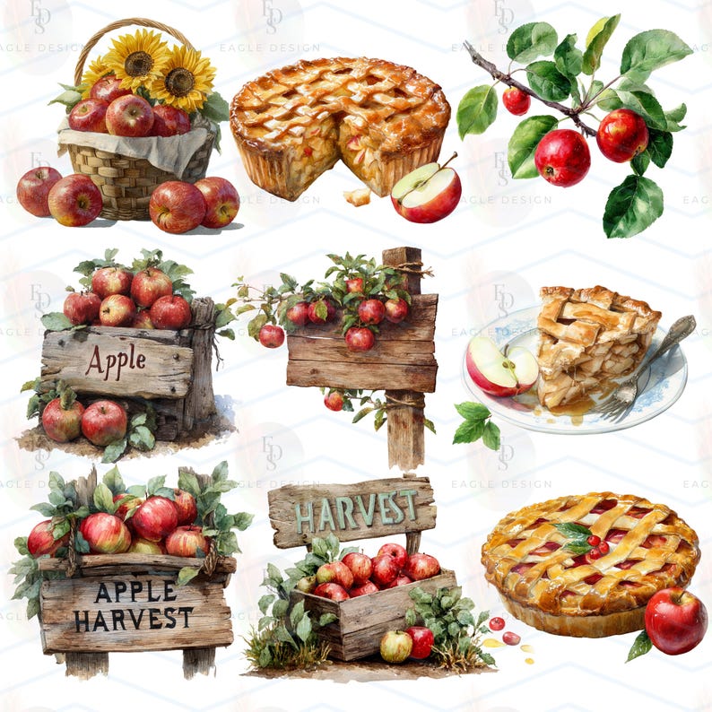 Apple Harvest Clipart Bundle: Watercolor Autumn Graphics (digital ...
