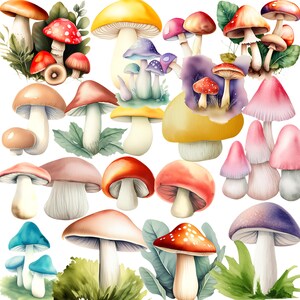Watercolor Mushroom Clipart Set: 150 PNG Graphics (commercial Use ...
