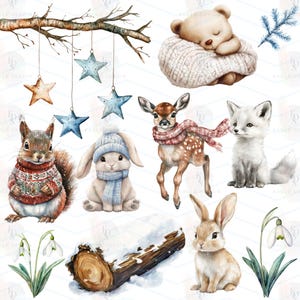 Winter Woodland Watercolor Clipart Set – 61 PNG | Wild Animals, Snow ...