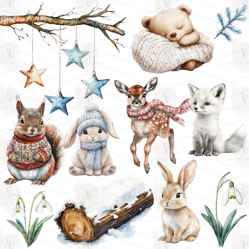 Winter Woodland Watercolor Clipart Set – 61 PNG | Wild Animals, Snow ...