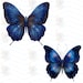 Ethereal Dark Blue Butterfly Clipart: 22 PNG Illustrations (digital ...