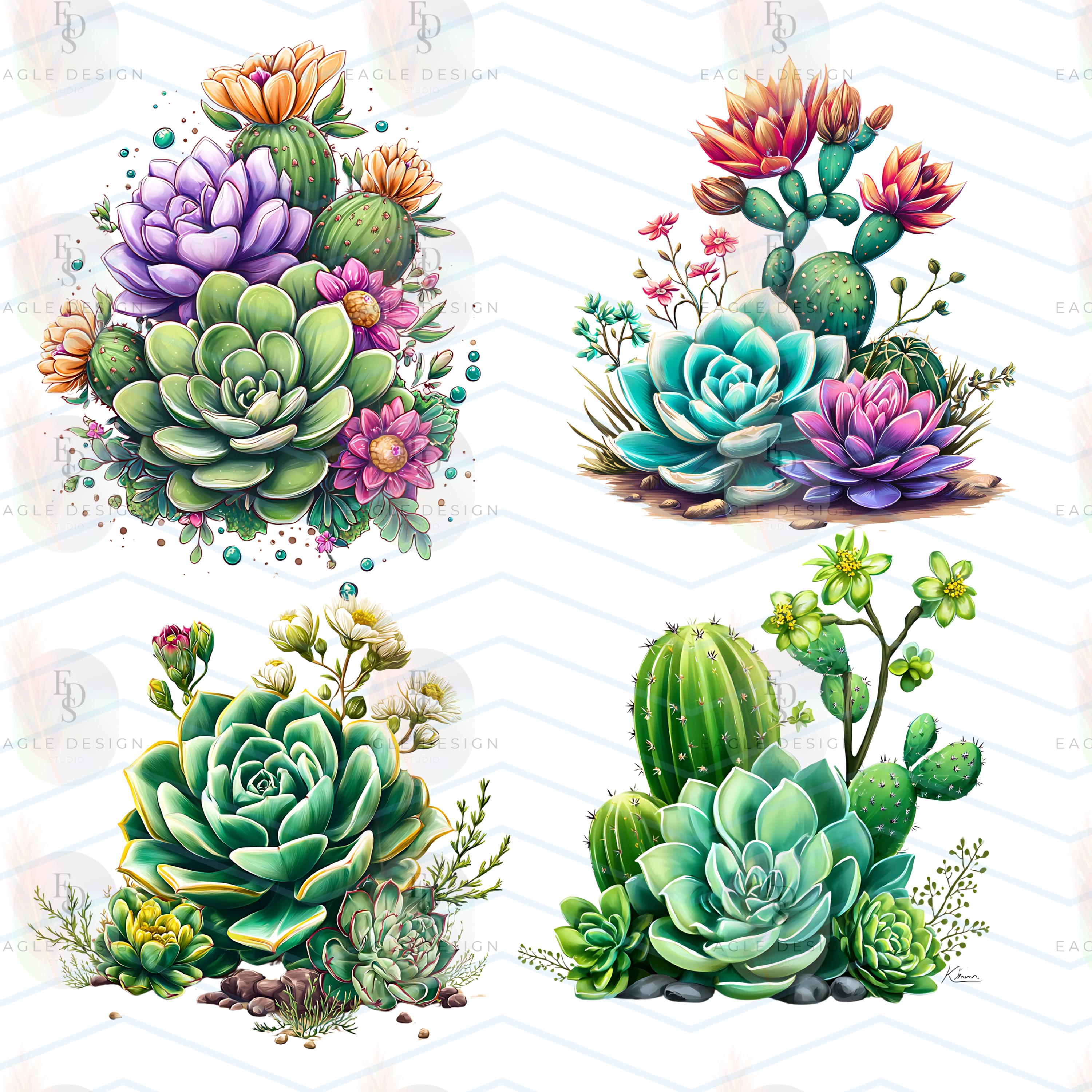 Watercolor Cactus Clipart Bundle: Succulent PNG Graphics (digital ...