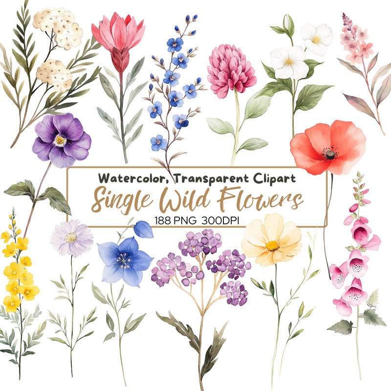 Drawing Original Flower - Etsy UK