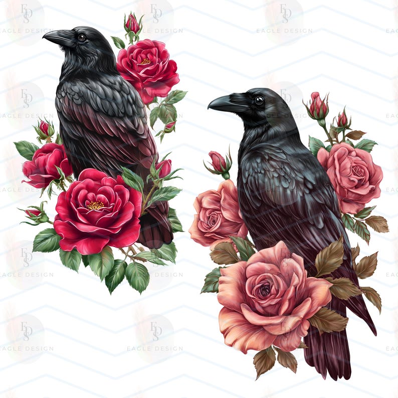 Gothic Raven & Roses Clipart: Dark Romantic PNG Illustrations (digital ...