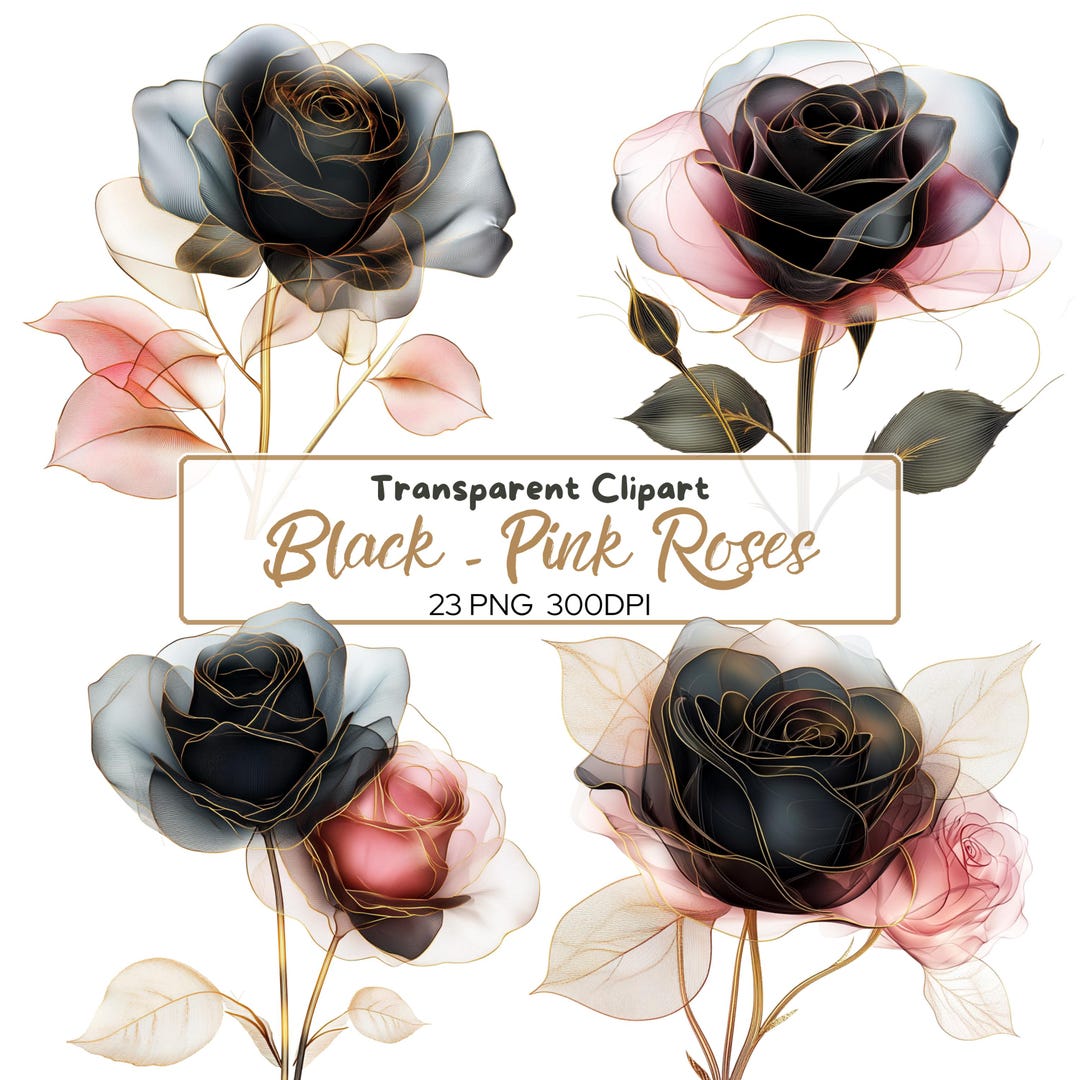 Pink & Black Roses Clipart: Watercolor Floral PNG Bundle (digital ...