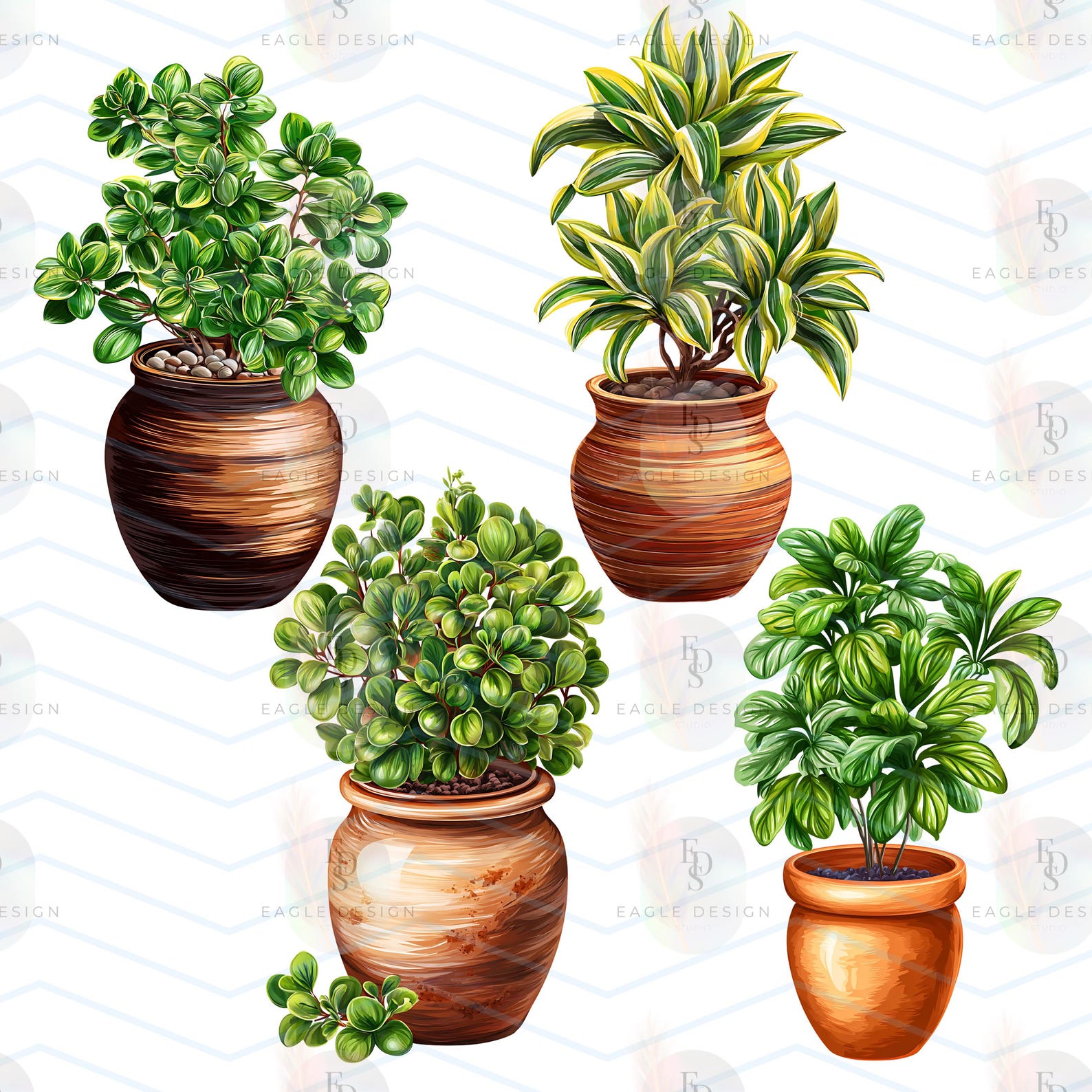 Watercolor Potted Plant Clipart: 28 PNG Houseplant Illustrations ...