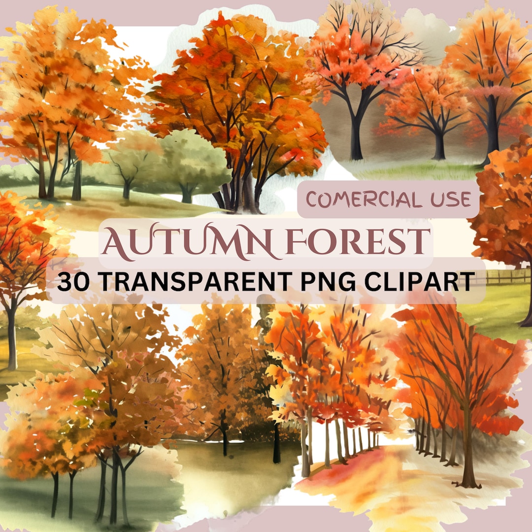 30 PNG AUTUMN FOREST Fall Trees Clip Arts (300 Dpi, Commercial Use ...