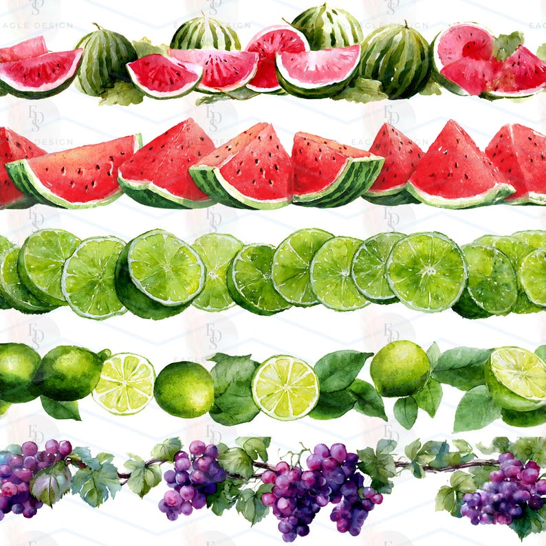 20 Watercolor FRUIT Border Clipart PNG | Lemon, Orange, Citrus Border ...