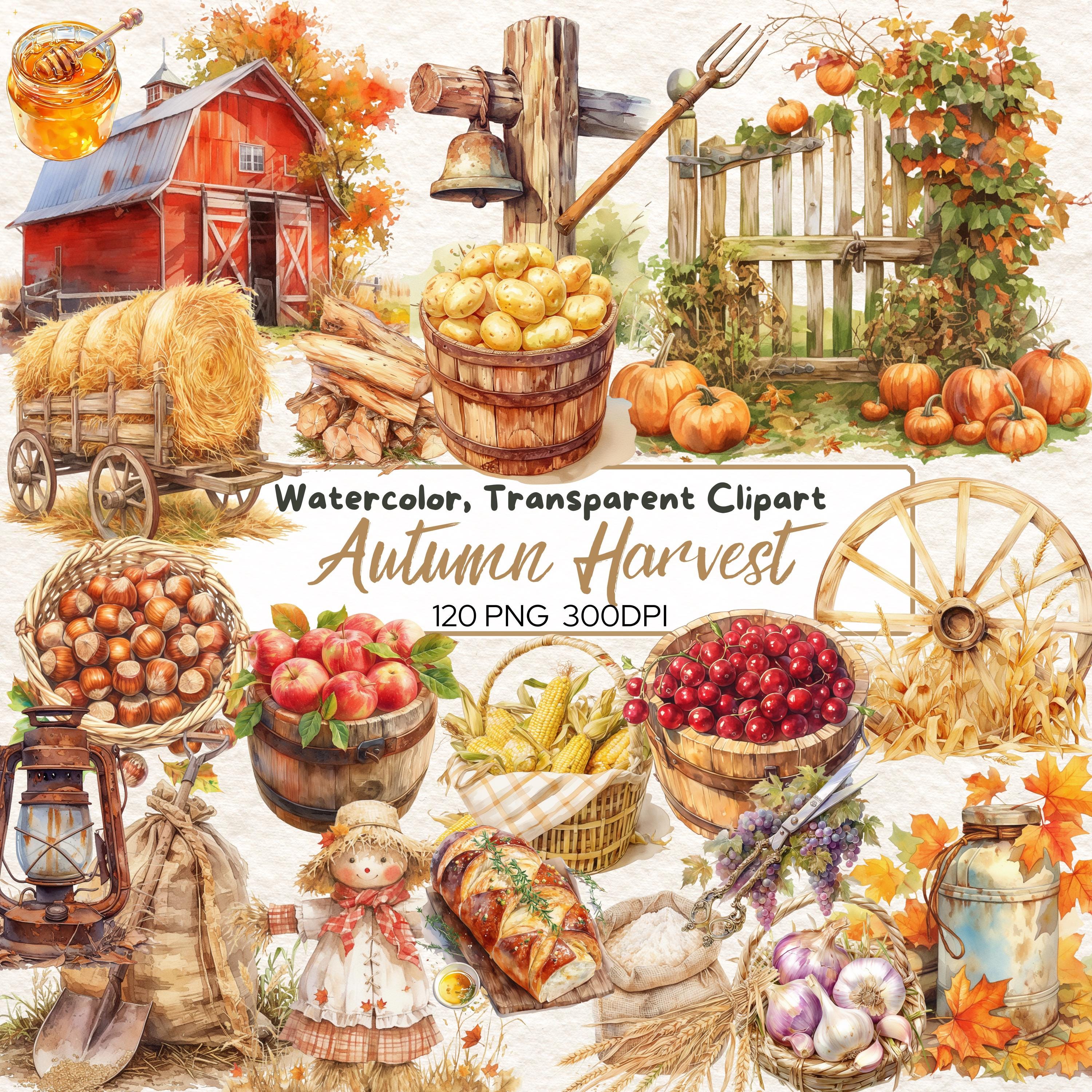 120 PNG Autumn Harvest Clipart Bundle, Watercolor Fall Farm PNG ...