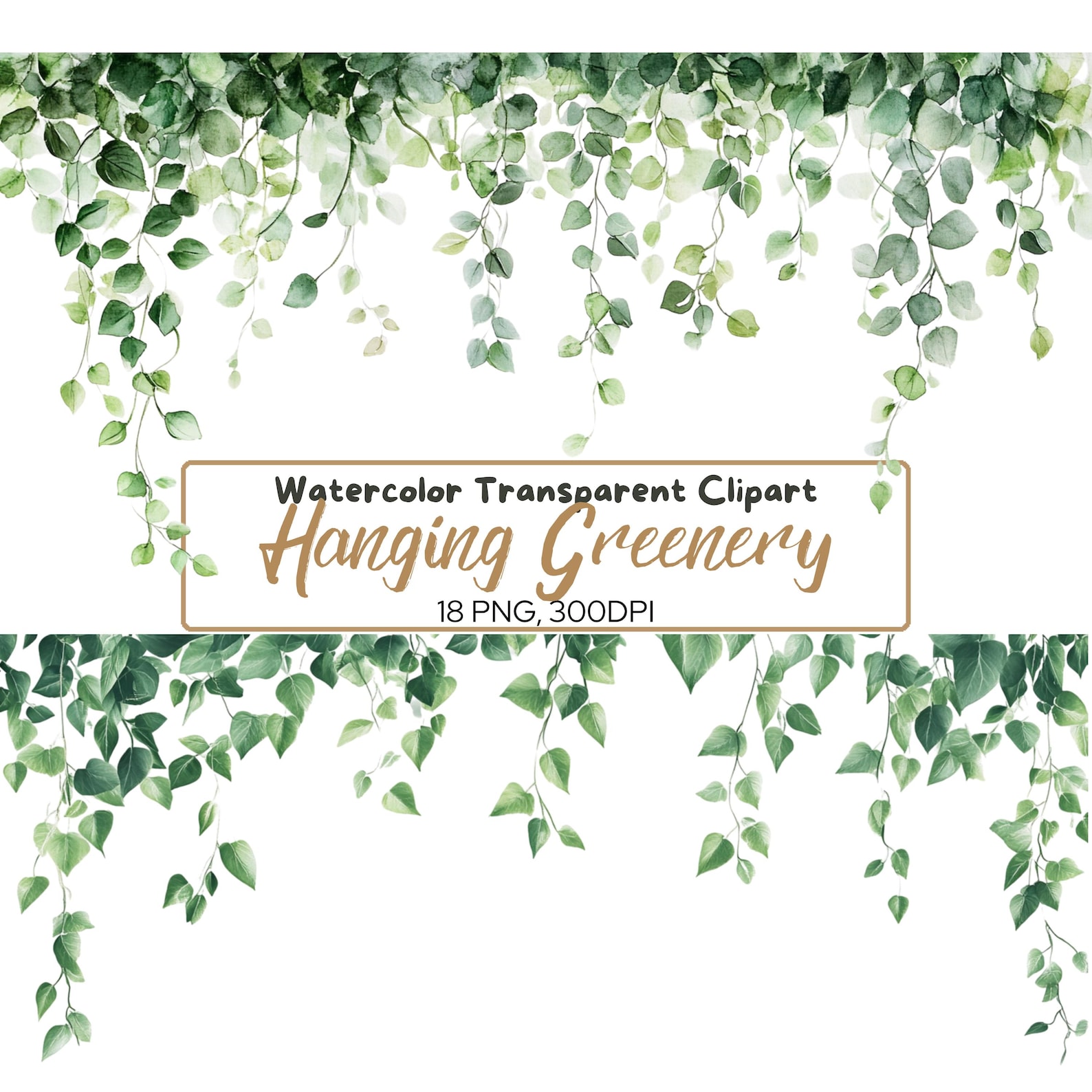 18 PNG Hanging Greenery BORDER Clipart, Transparent Greenery Clip Art ...