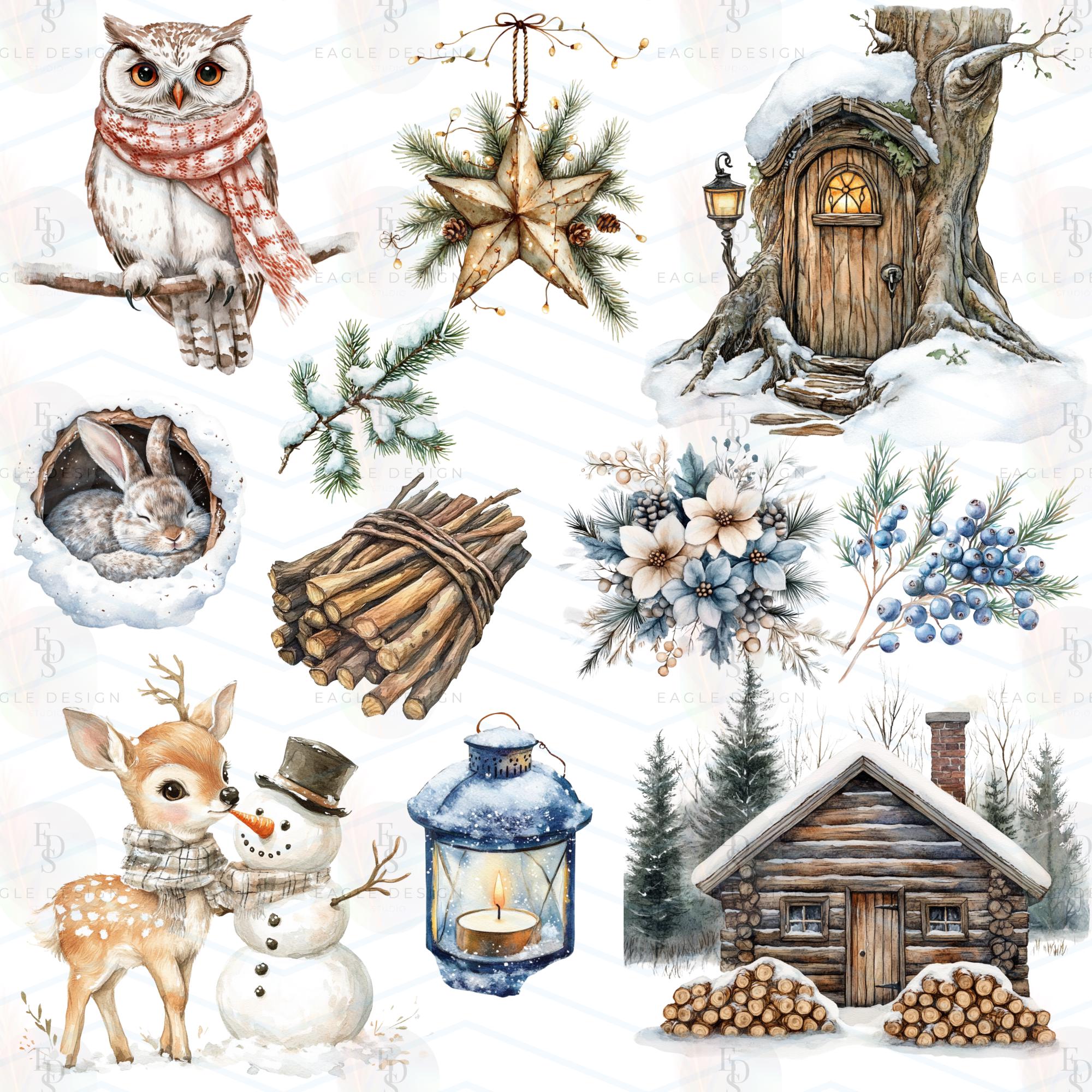 Winter Woodland Watercolor Clipart Set – 61 PNG | Wild Animals, Snow ...
