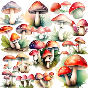 Watercolor Mushroom Clipart Set: 150 PNG Graphics (commercial Use ...