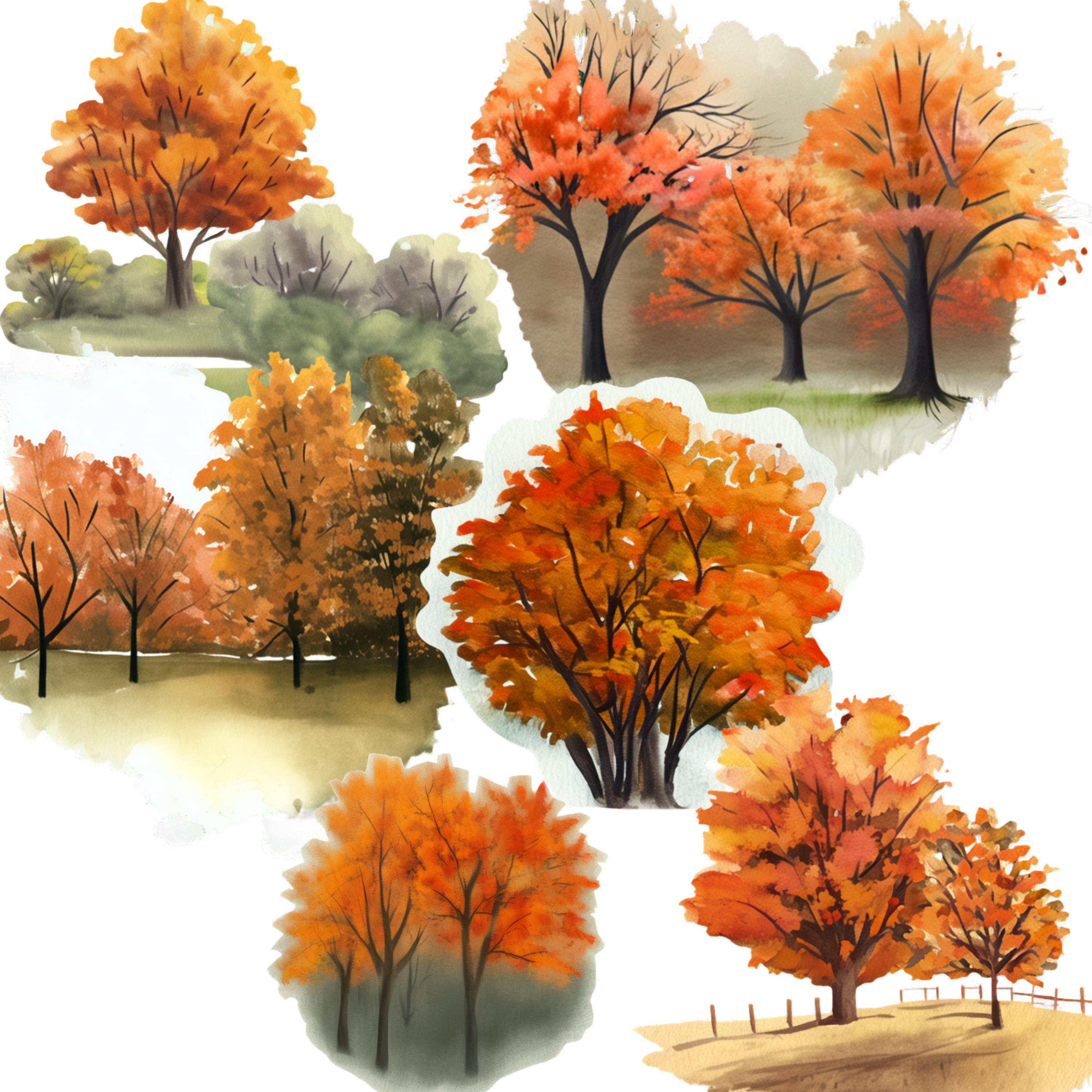 30 PNG AUTUMN FOREST Fall Trees Clip Arts 300 Dpi, Commercial Use ...