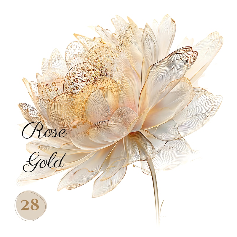 Rose Outline Gold - Etsy