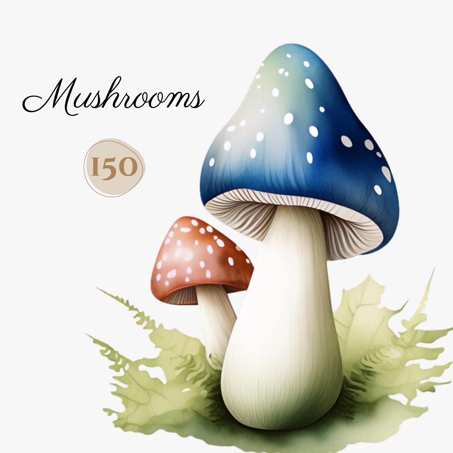 Watercolor Mushroom Clipart Set: 150 PNG Graphics (commercial Use ...