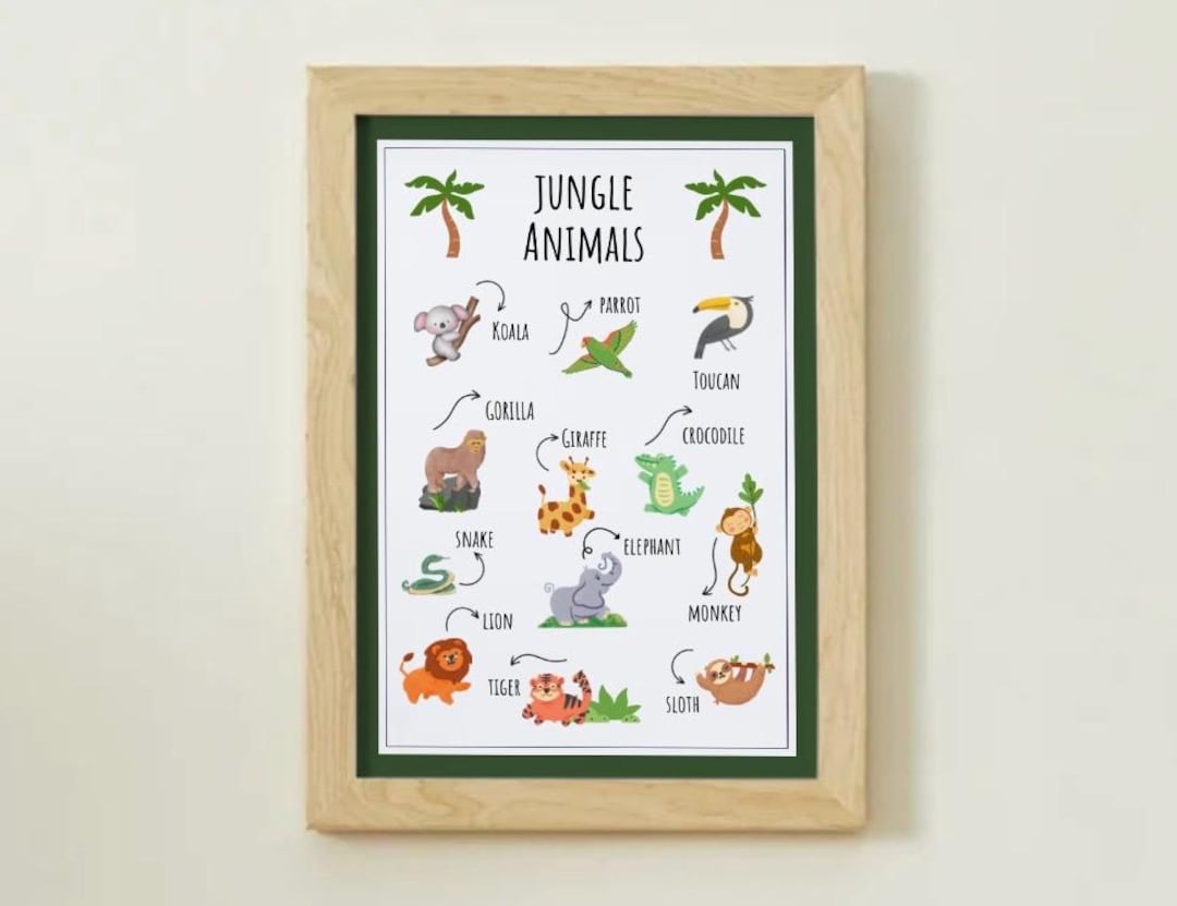 Jungle Animal Poster, Educational Print, Classroom Playroom Wall Art - Etsy