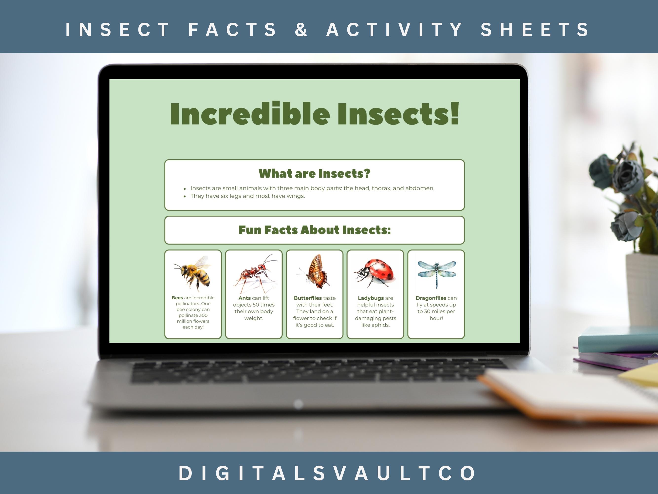 Insects Facts and Activity Sheets for Kids Printable | Fun Activities ...