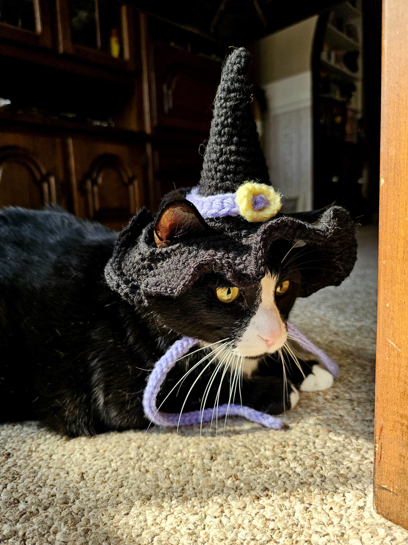 Crochet Witch Hat for Your Cat or Dog! - Etsy