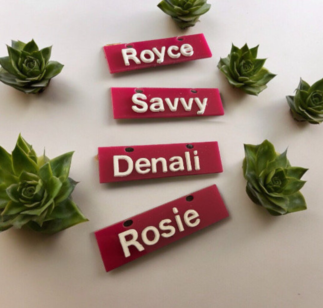 Dog Kennel Tag acrylic Back and Letters - Etsy