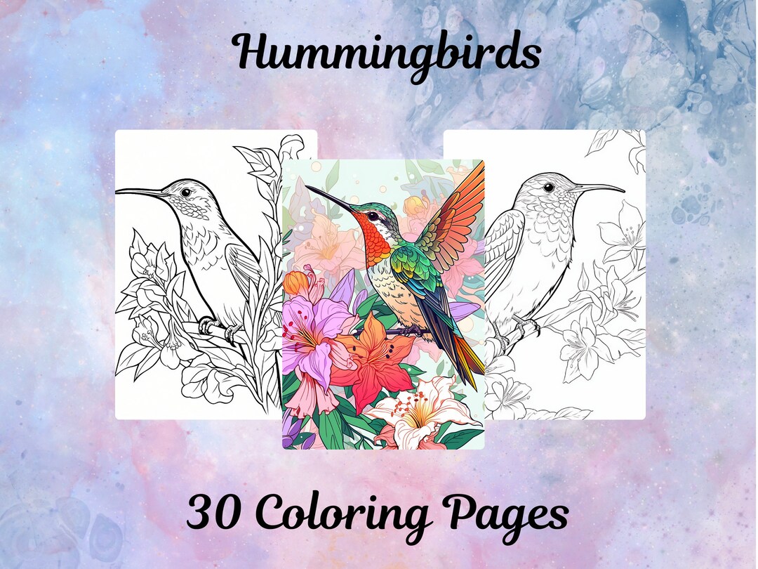 30 Hummingbirds Adult Coloring Pages Printable Coloring Pages Instant ...