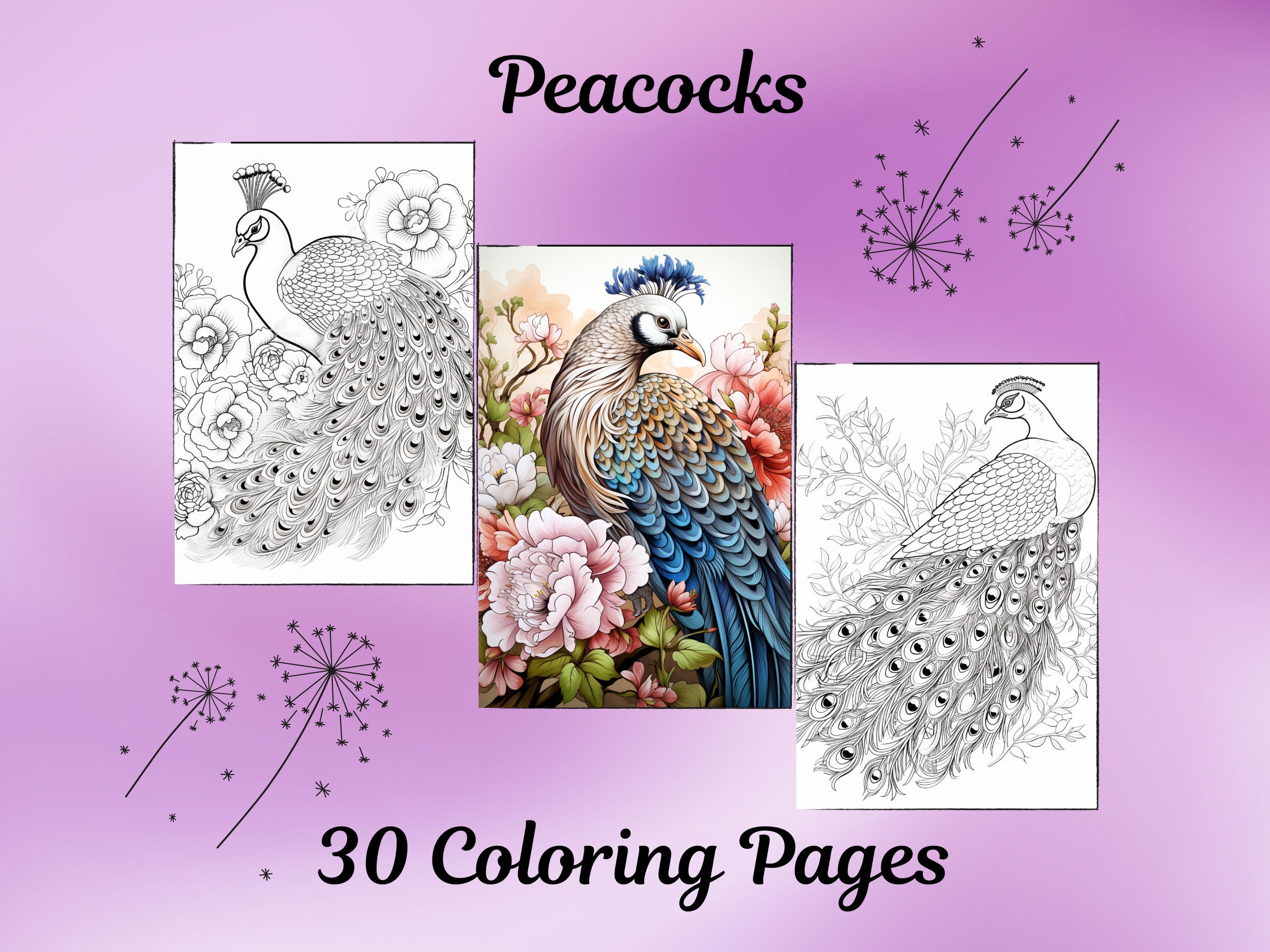 30 Proud Peacock Coloring Pages Adult Coloring Sheets Printable ...