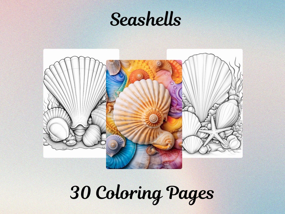 30 Seashells Adult Coloring Pages Printable Coloring Pages Instant ...