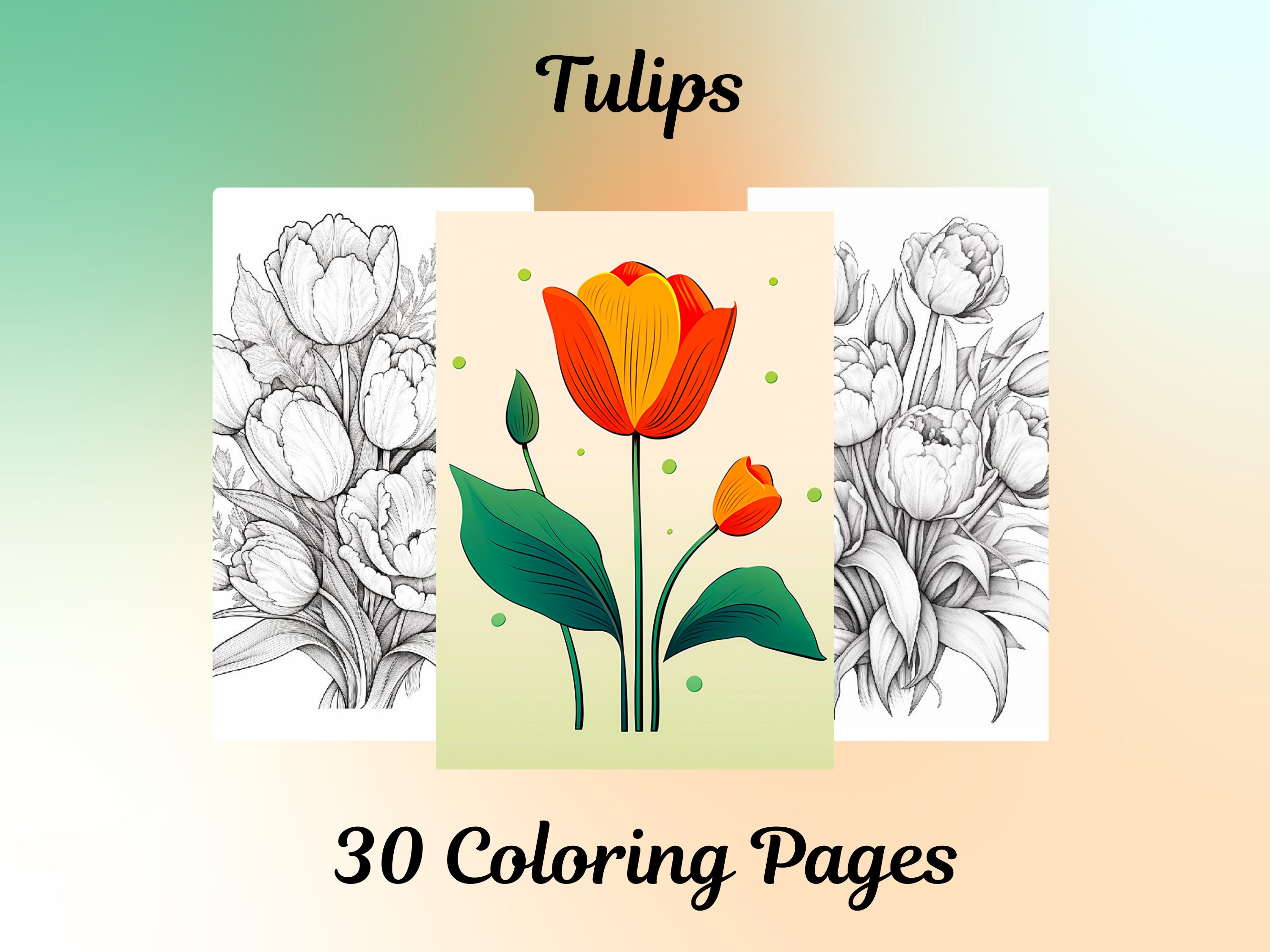30 Tulip Coloring Pages - Adult Coloring Pages - Printable PDF, Instant ...