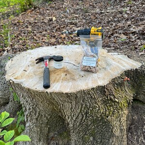 Shiitake Mushroom Plug Spawn Kit - All-in-one Kit - Inoculated Wood ...