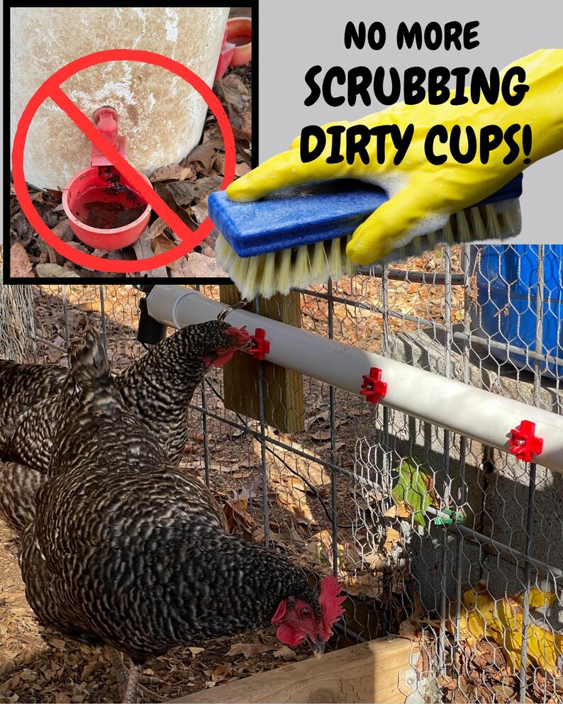 Circulating Automatic Water System Kit | Clean Chicken Waterer | Freeze ...