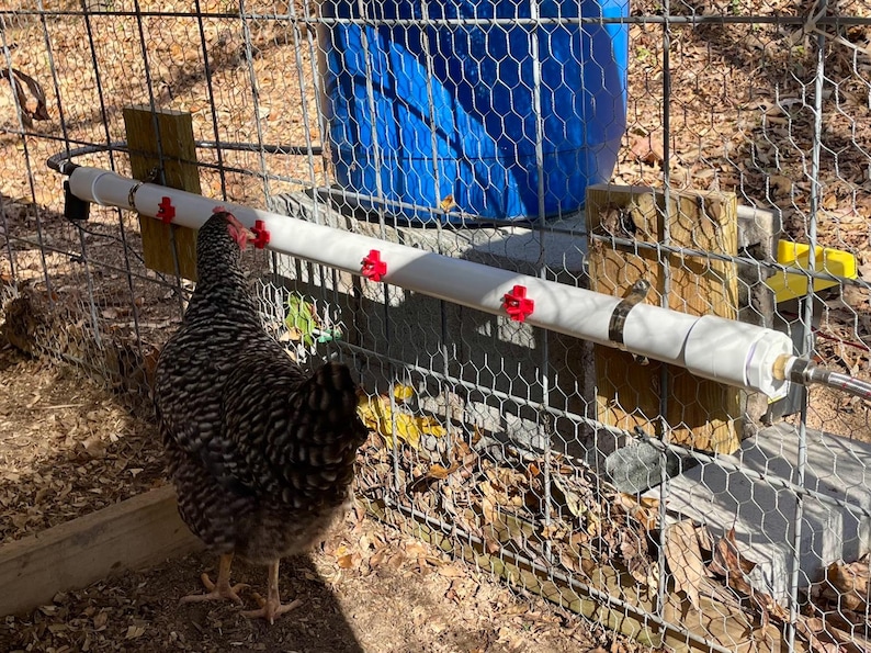 Circulating Automatic Water System Kit | Clean Chicken Waterer | Freeze ...
