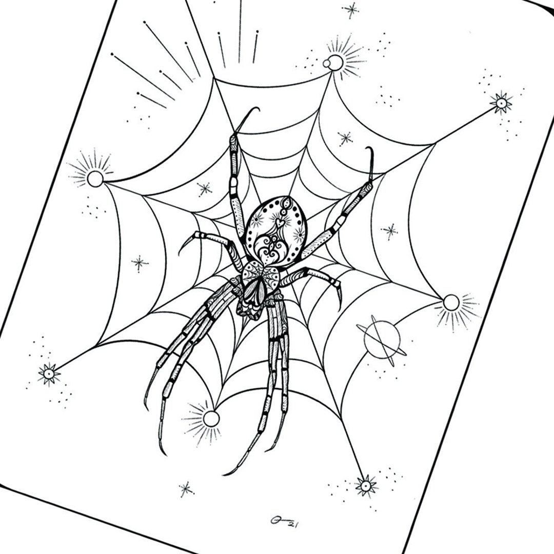 Spider Coloring Page: Original Artwork (digital Download) 100% Human ...