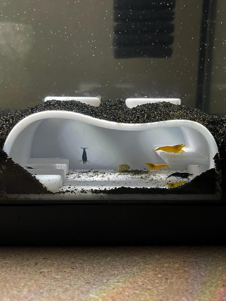 Shrimp Condo Aquarium Cave STL File – 3D Print Hide Modern Aquascape ...