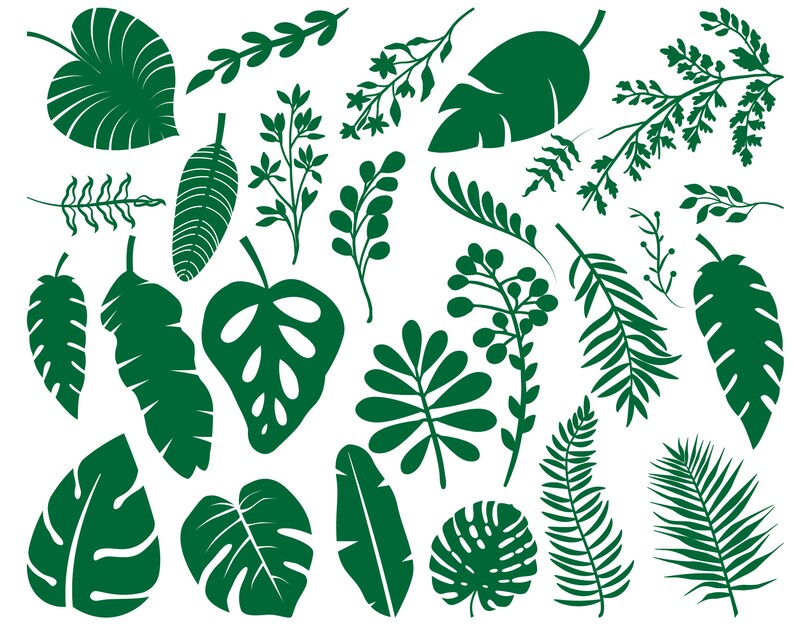 Leaves Svg Bundle Palm Leaf Svg Bundle Leaves Svg Tropical Party