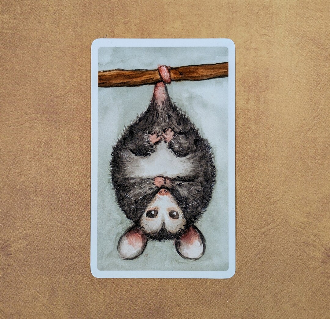 Opossum Hang in There, Vinyl Sticker, Weatherproof, Possum, Cute Animal ...