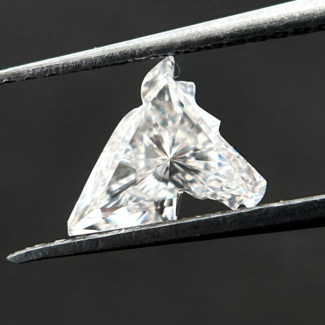 Horse Head Shape Lab Grown Diamond, Fancy Shape Man Made Diamond,1.00 ...