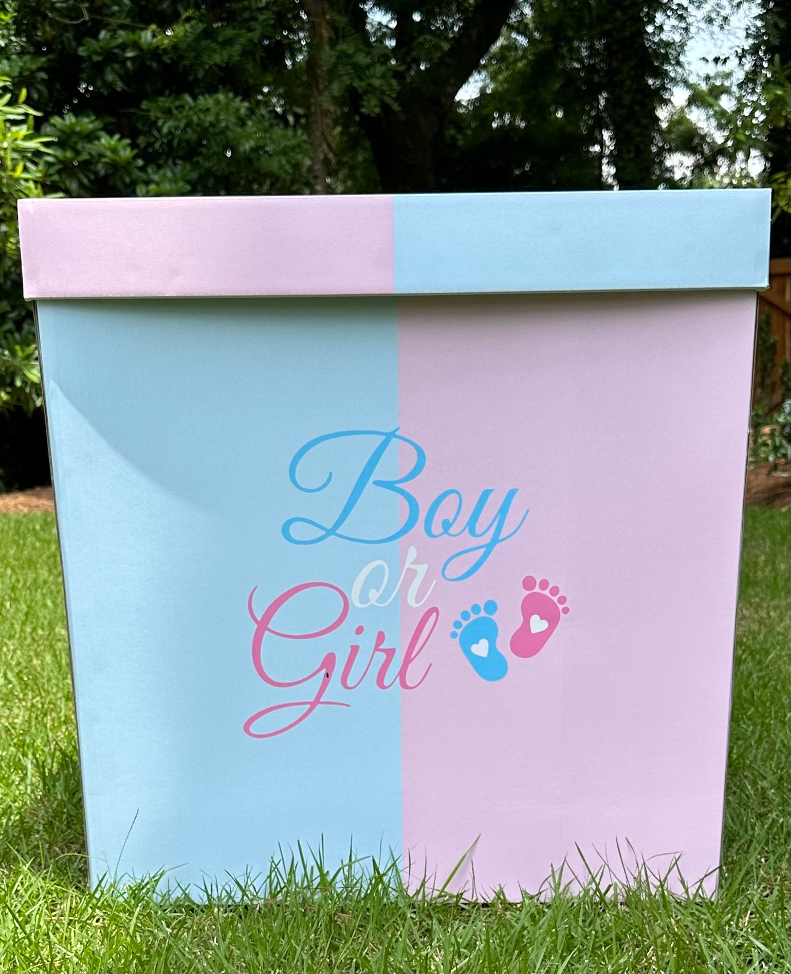 Giant Gender Reveal Box - Etsy