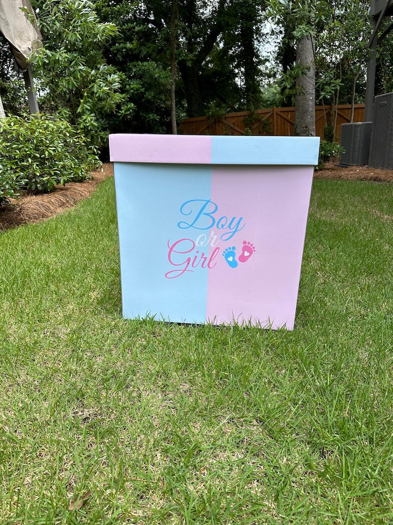 Giant Gender Reveal Box - Etsy UK